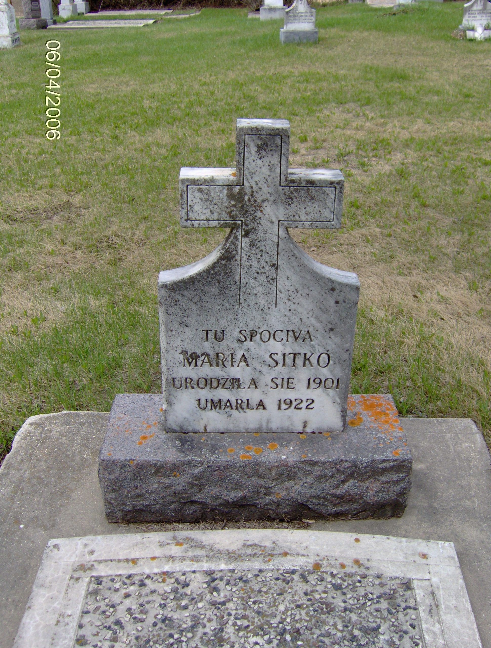 Looking for Mary | Zelinski Family